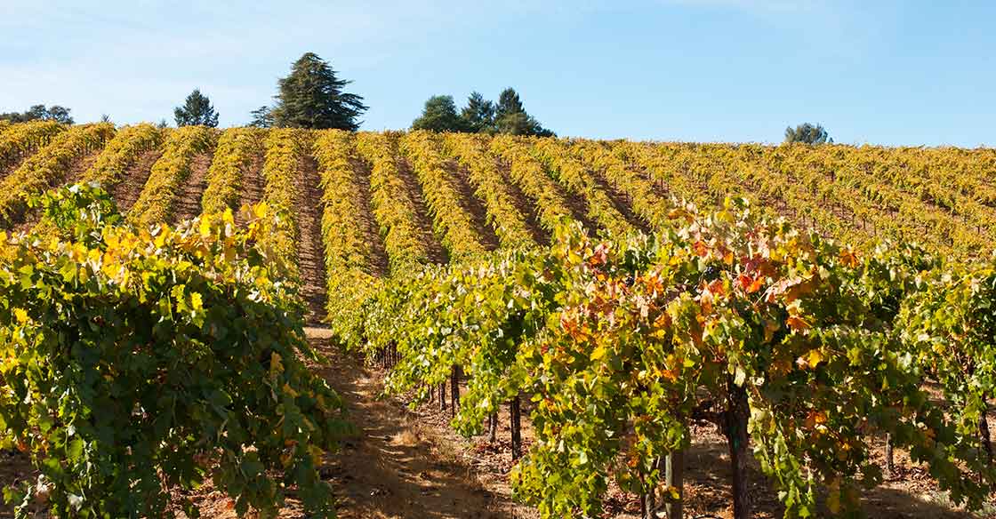 Give Your Home some Love: Fall Property Maintenance